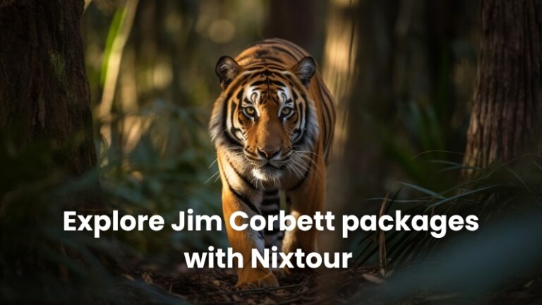 Weekend Trip to Jim Corbett National Park (2N/3D) from Delhi